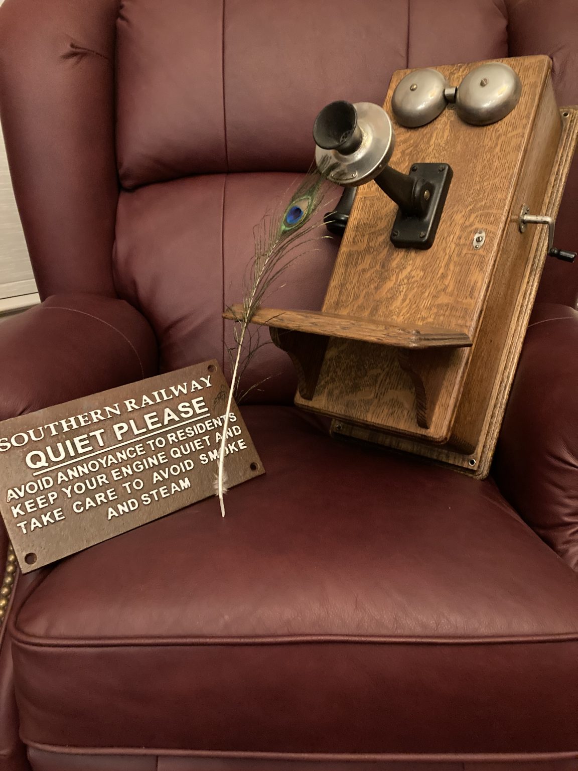 Feather, Phone, and Fun - Karen Commins