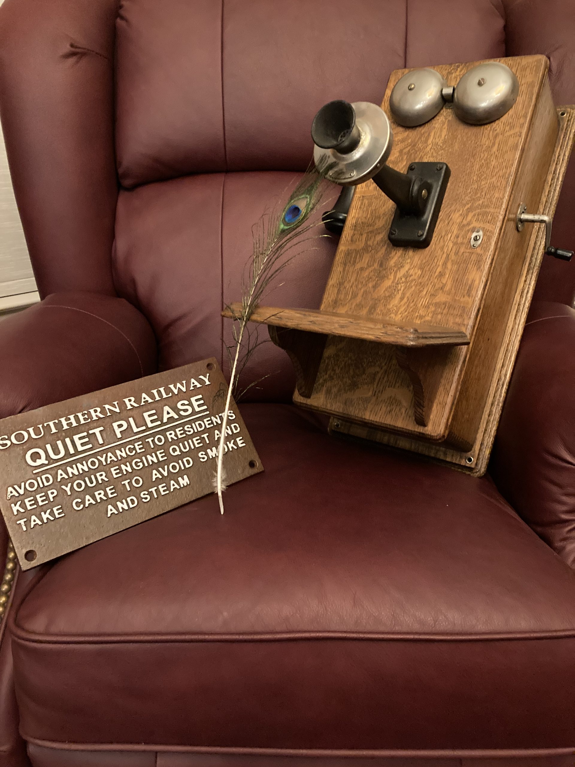 Feather, Phone, and Fun - Karen Commins